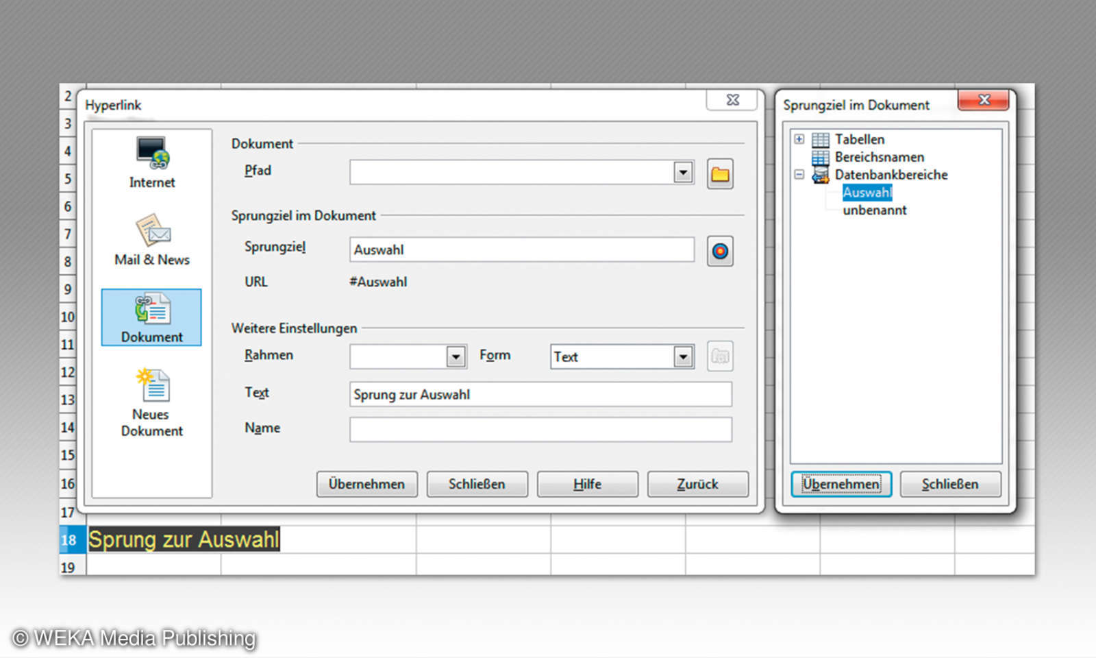 OpenOffice Writer: Texte markieren und Autokorrektur - connect-living