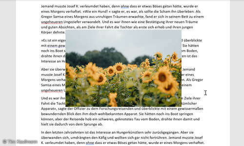 Word: Symbole und Sonderzeichen eingeben - So geht's - connect-living