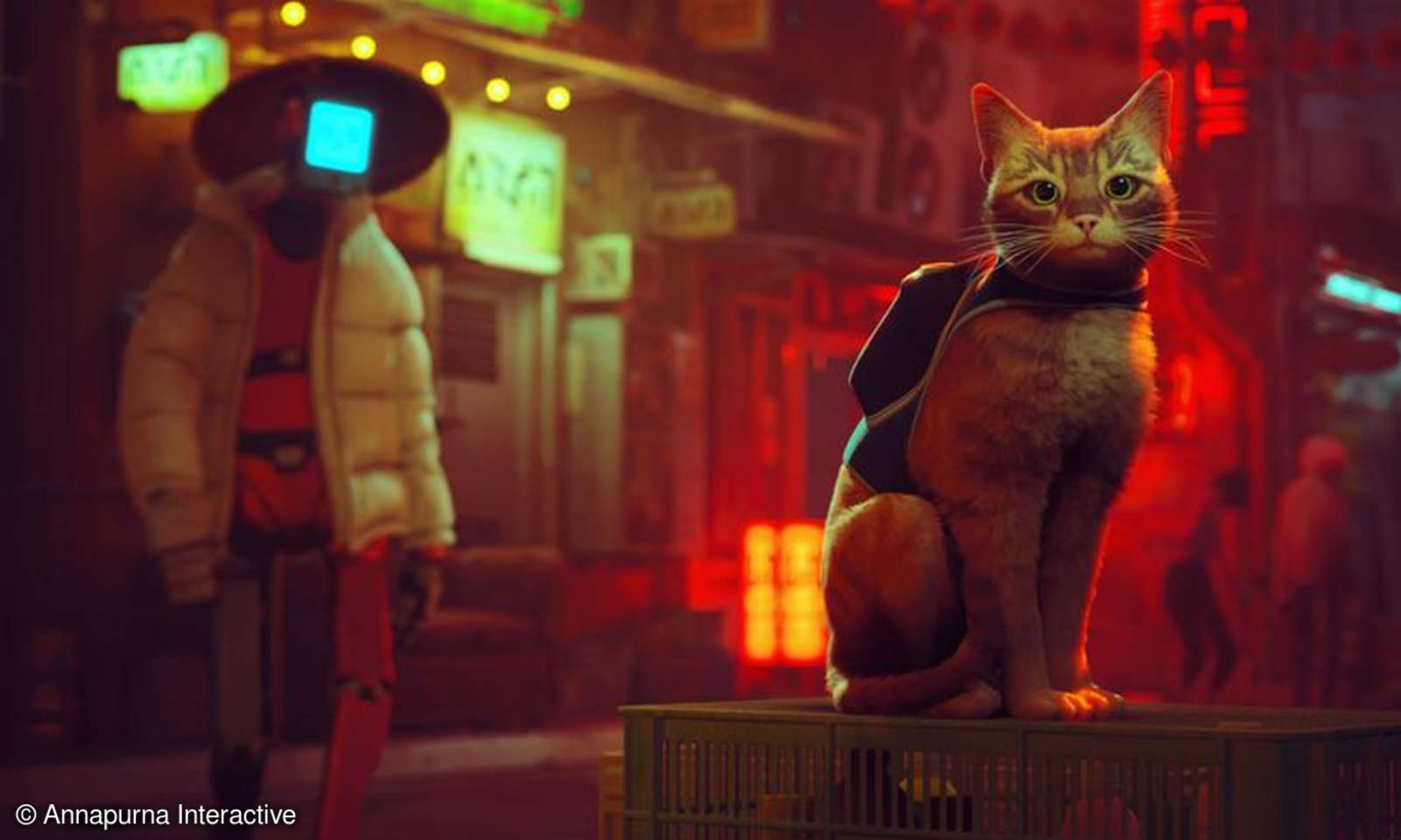 Stray Mod Guide: Die besten Mod-Erweiterungen - connect-living