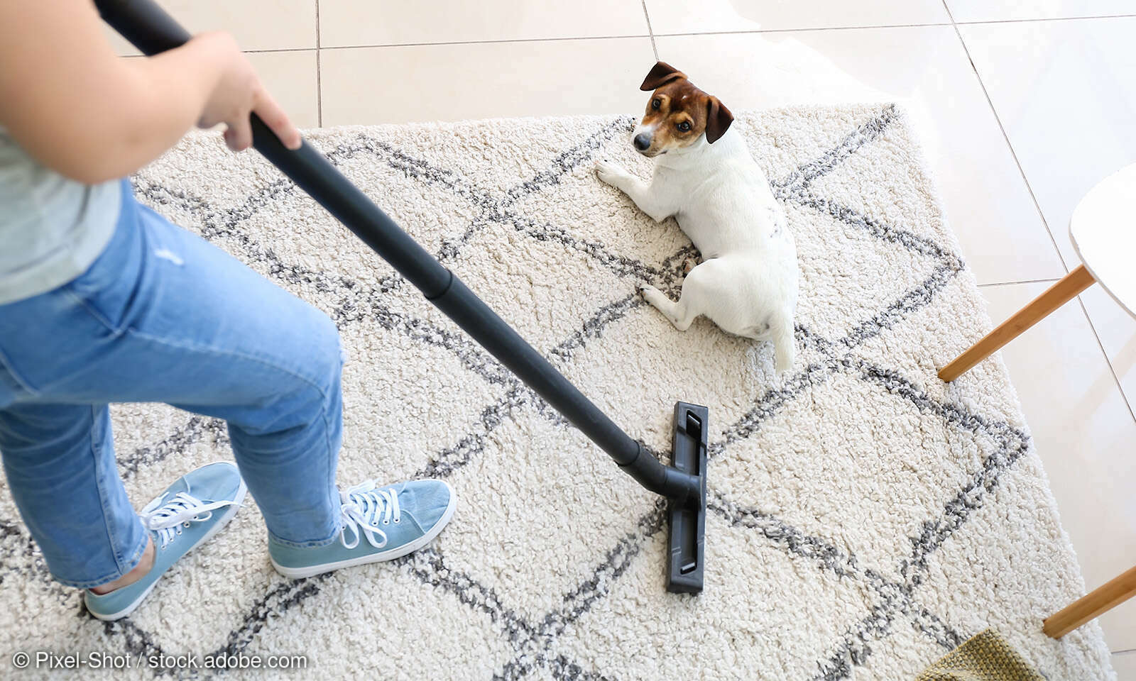 Staubsauger kaufen: Worauf sollte ich achten? - connect-living