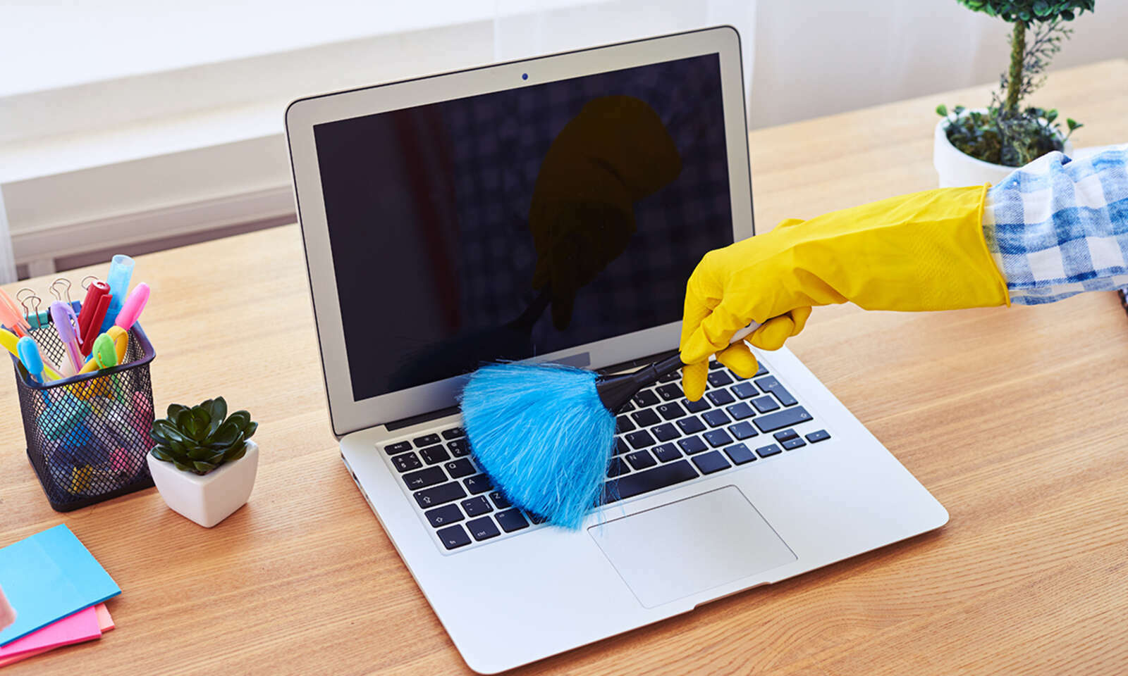 Opera One im Test - connect-living