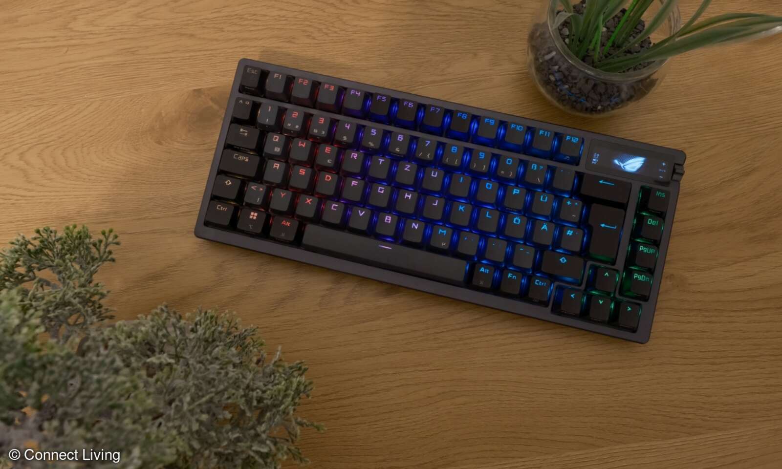 Asus ROG Azoth im Test: Custom-Tastatur mit OLED-Bildschirm - connect ...