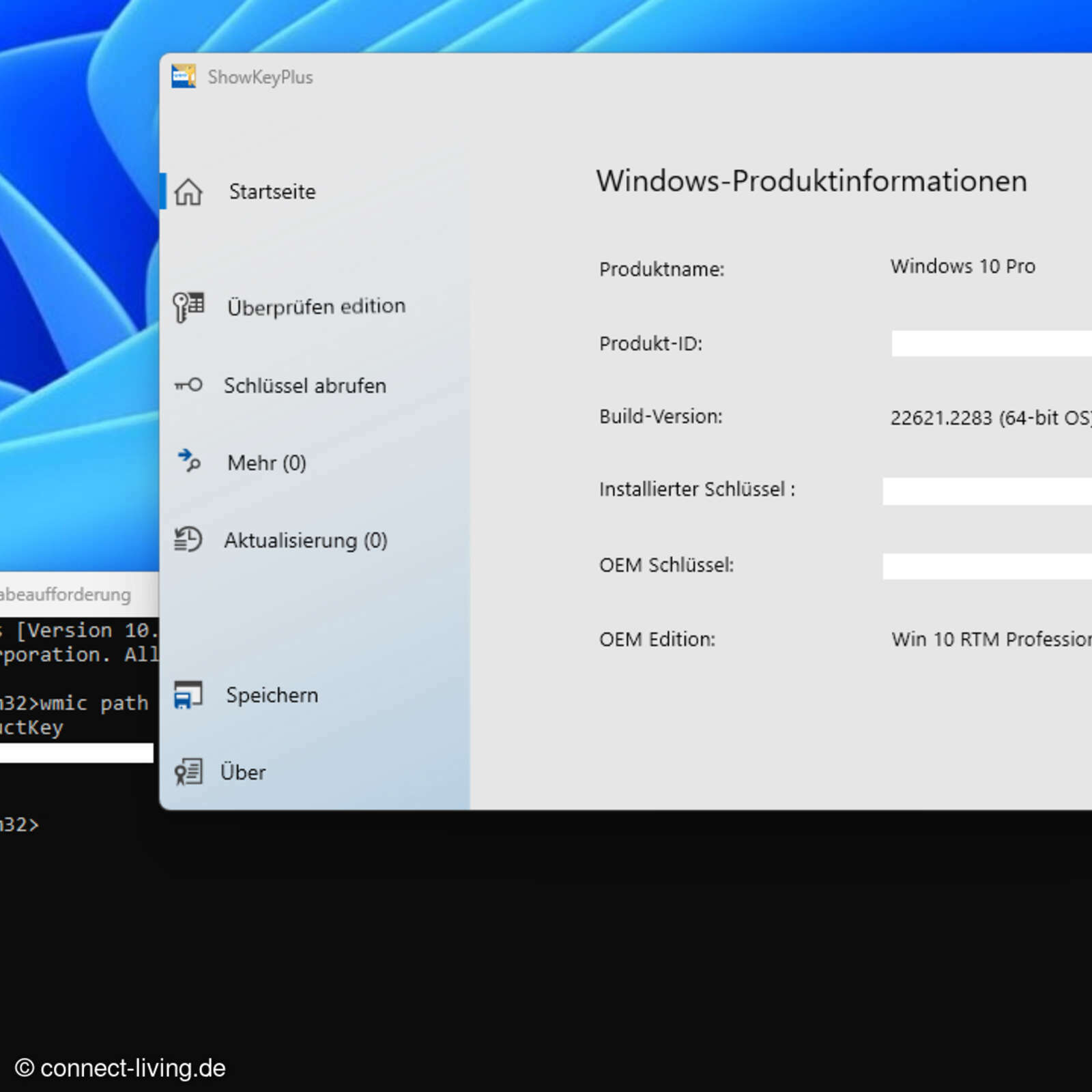 Lizenzschlüssel auslesen und Software neu installieren - connect-living