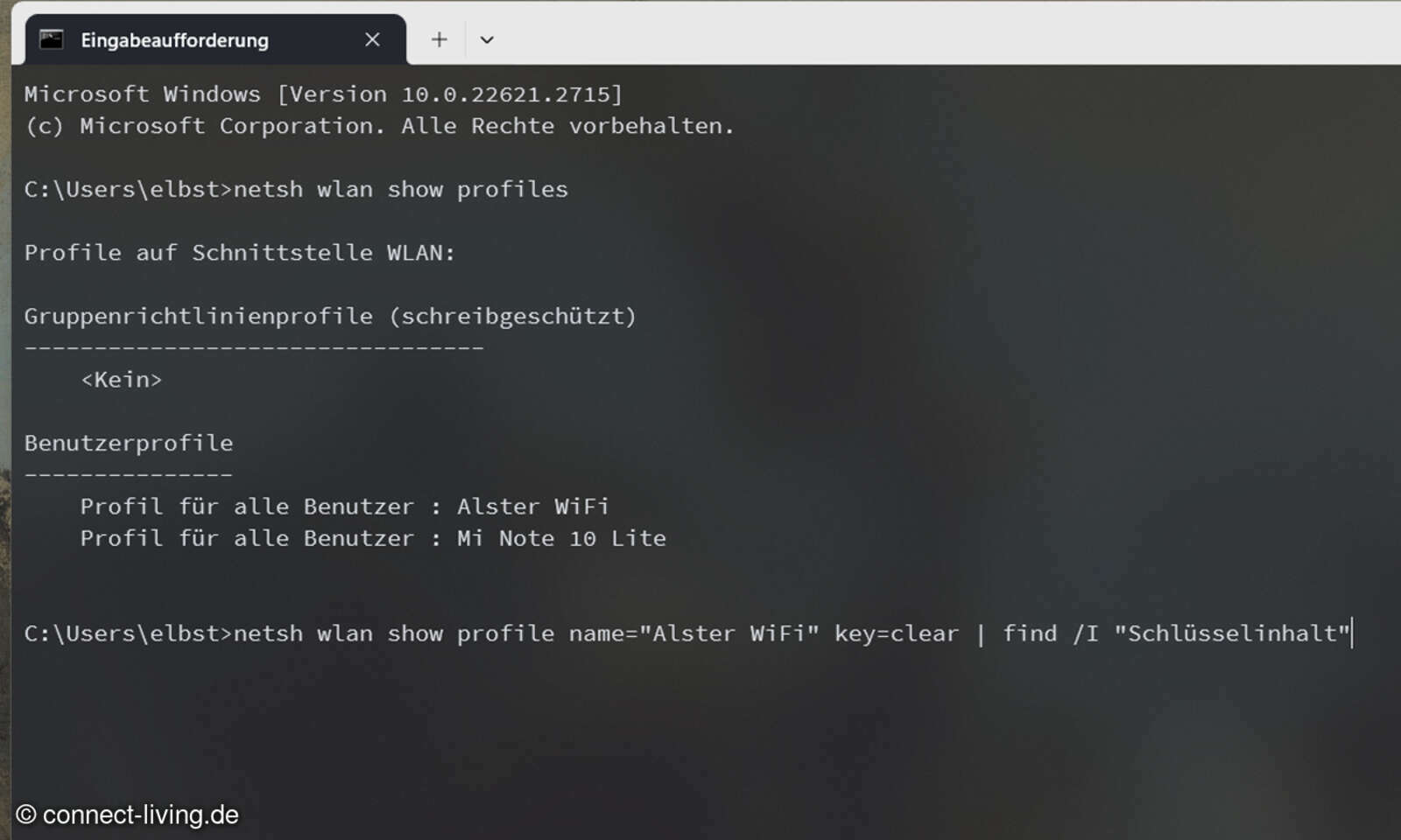 WLAN-Passwort anzeigen in Windows 11 - connect-living