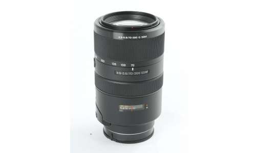 colorfoto.de Sony SAL 4,5-5,6/70-300 mm G SSM an Sony Alpha 350 - connect-living