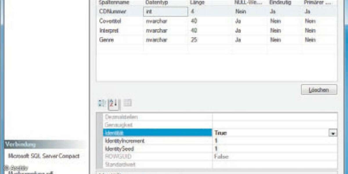 IT Professional Programmierung: Visual Basic Plus SQL-Server - connect ...