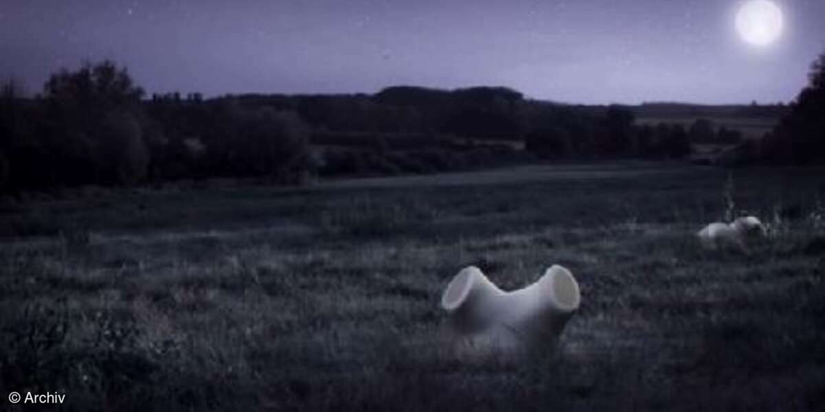 Rabbids Go Home - Trailer-Ausschnitte - connect-living