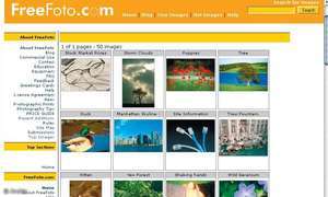 Webeditoren im Test - connect-living