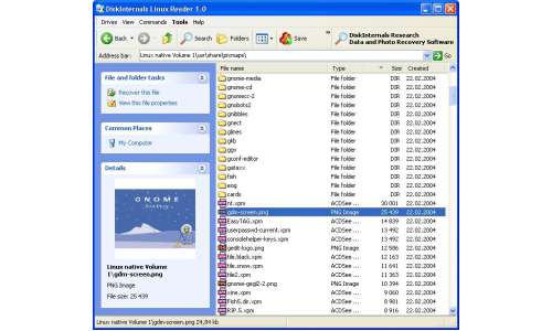 DiskInternals Linux Reader Download - connect-living