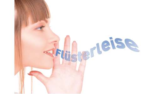 Leise Grafikkarten im Test - connect-living