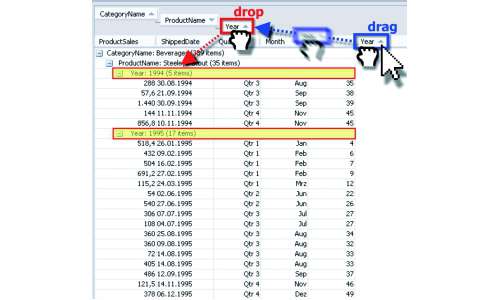 Rapid Java mit XDEV 3 - connect-living