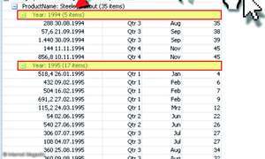Java Runtime Environment (JRE 32-Bit) - Download - connect-living